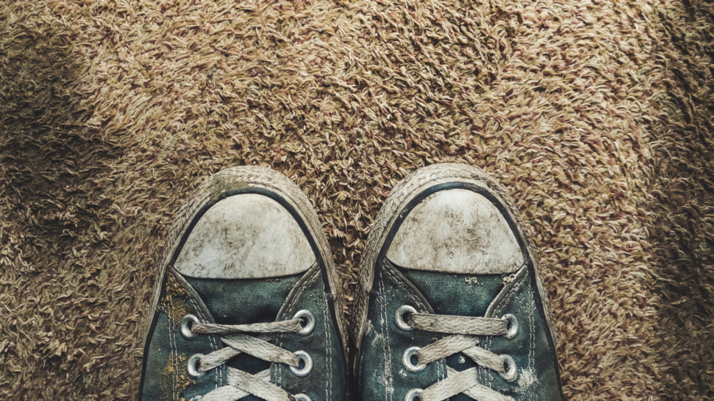What to Do When Your Carpet Starts Showing Wear and Tear - Poplar Carpets