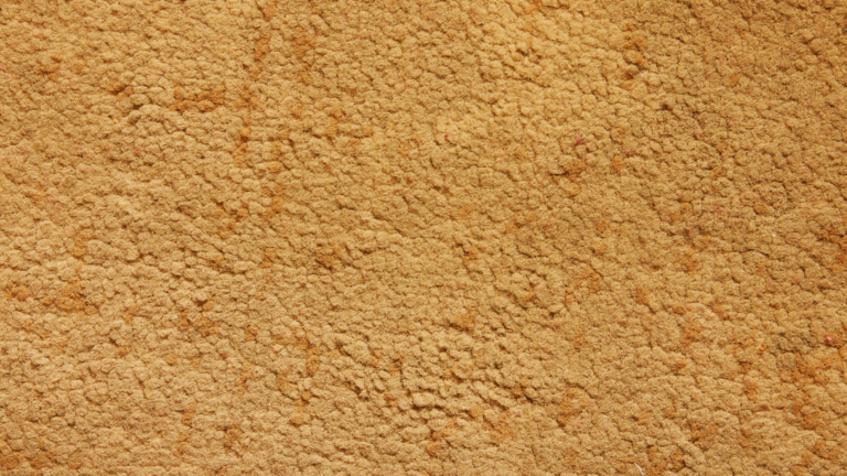 What to Do When Your Carpet Starts Showing Wear and Tear - Poplar Carpets